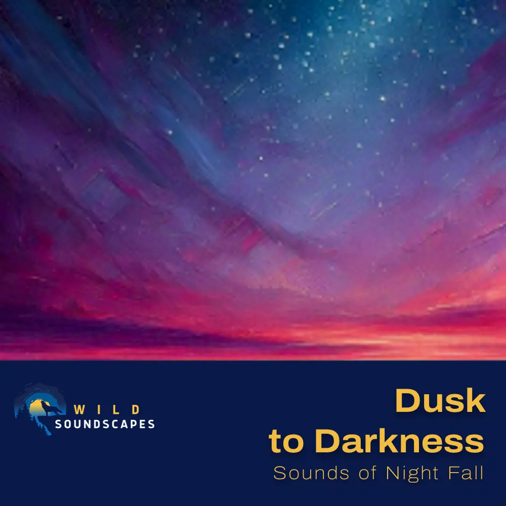 Nature Sounds » Wild Soundscapes